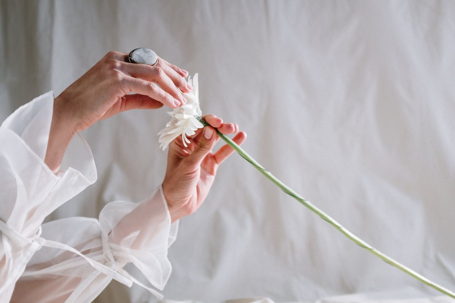 Beyond Crowns: Unveiling Prizes, Honesty, and Transparency at Pageant ...